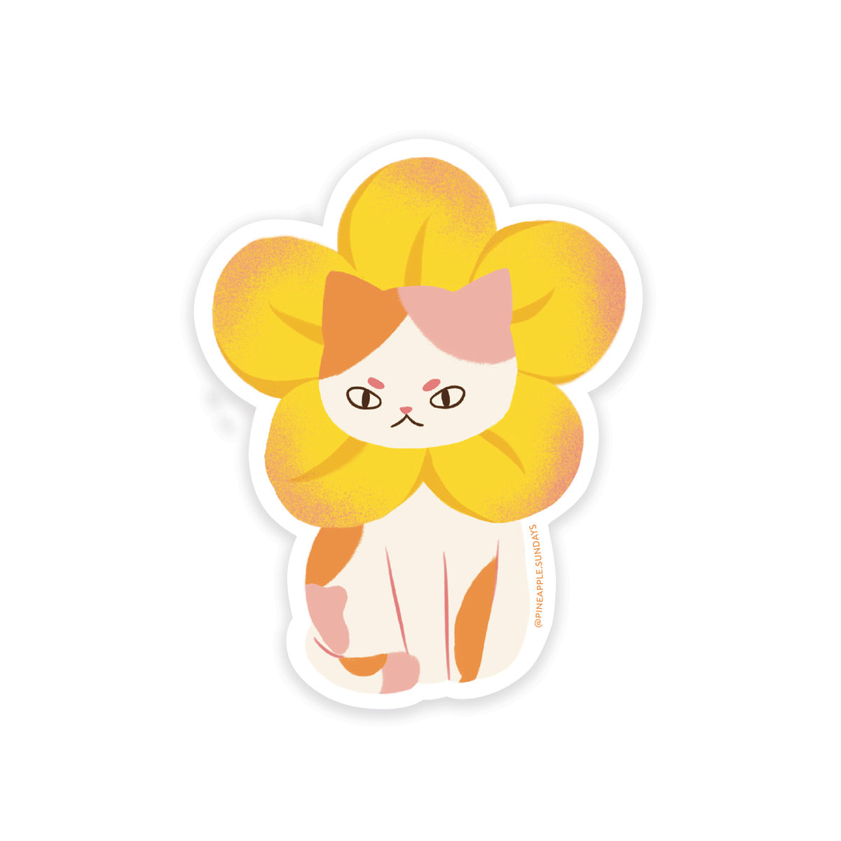 Pineapple Sundays Design Studio, LLC